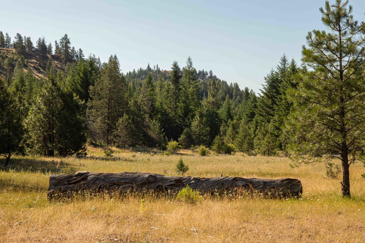 Dutch Flat Ranch West | Fossil Hunting Unit | Fay Ranches