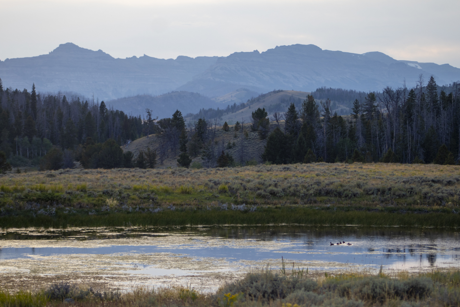 Rocking Chair Ranch | Large Wyoming Property | Fay Ranches