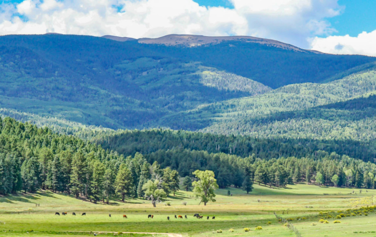 New Mexico | Fay Ranches