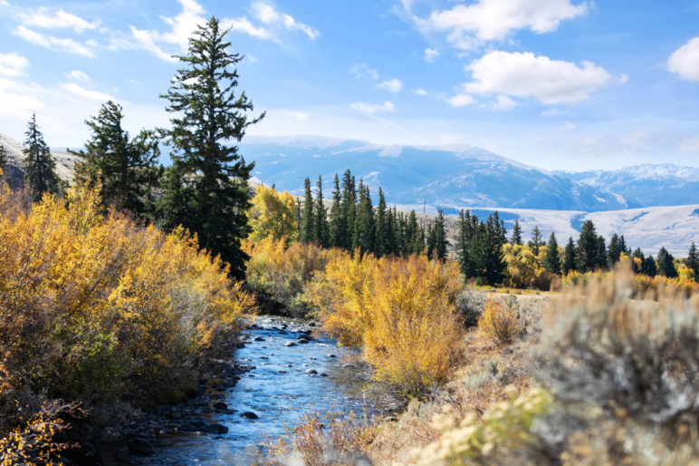Rocking Chair Ranch | Large Wyoming Property | Fay Ranches