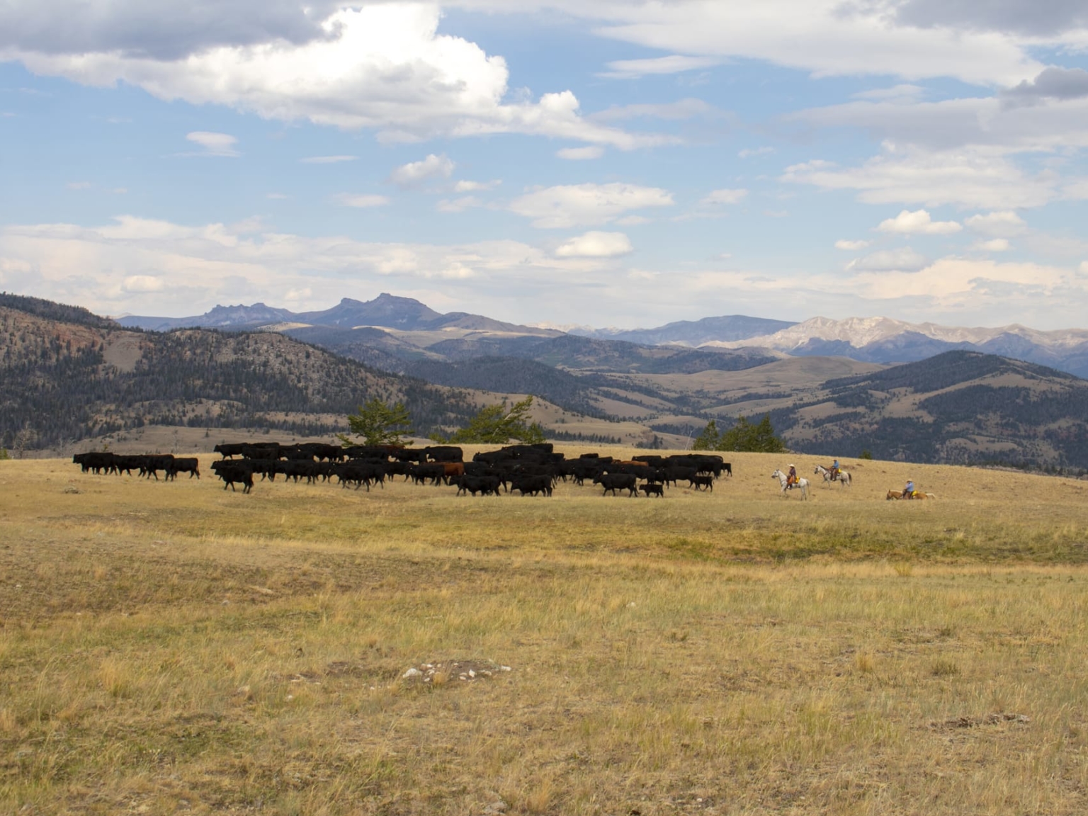 Rocking Chair Ranch | Large Wyoming Property | Fay Ranches
