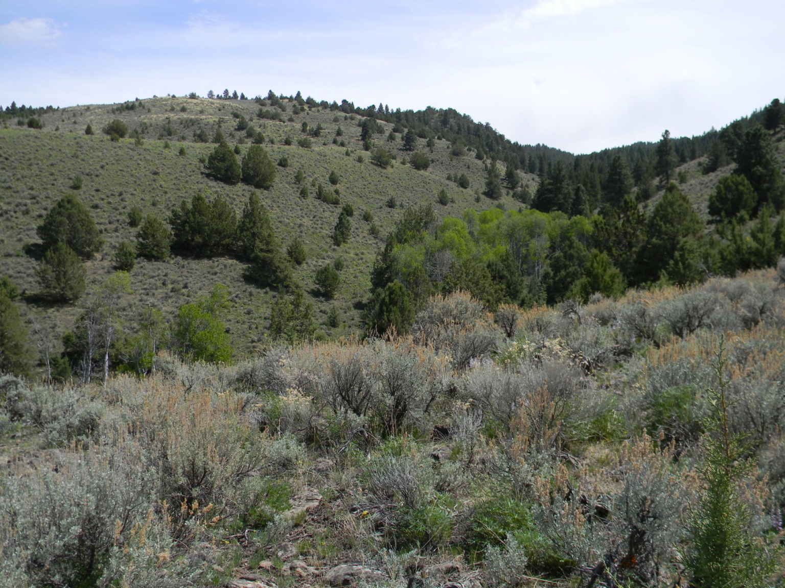 Hereford Burnt River Ranch | Hereford Oregon | Fay Ranches