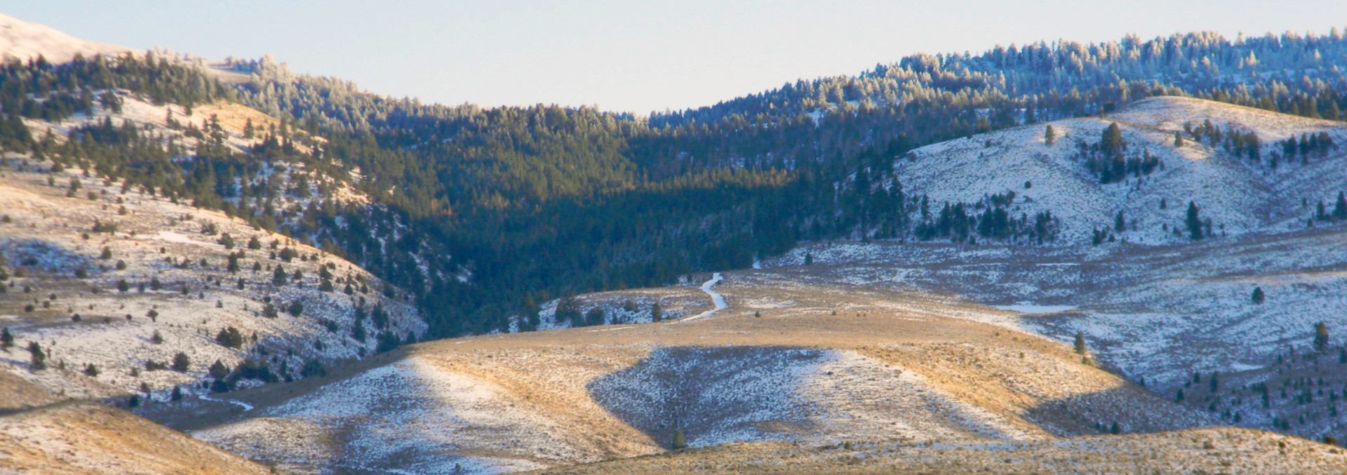Hereford Burnt River Ranch | Hereford Oregon | Fay Ranches