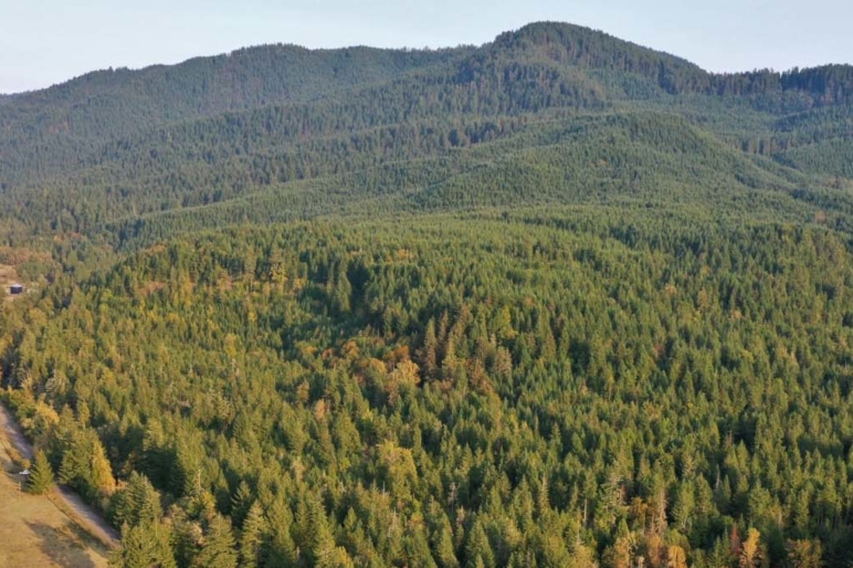 Fopiano Ranch - Mitchell, Oregon | Fay Ranches