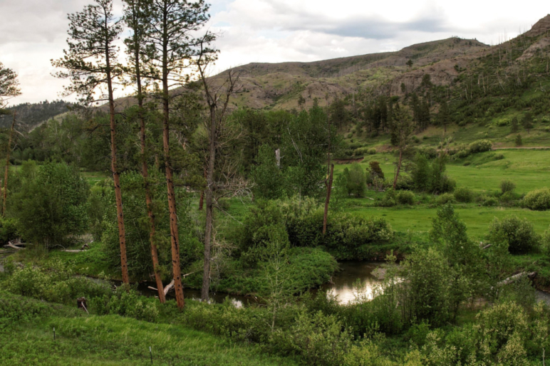 Rocky Mountain Ranch Land Properties For Sale | Fay Ranches