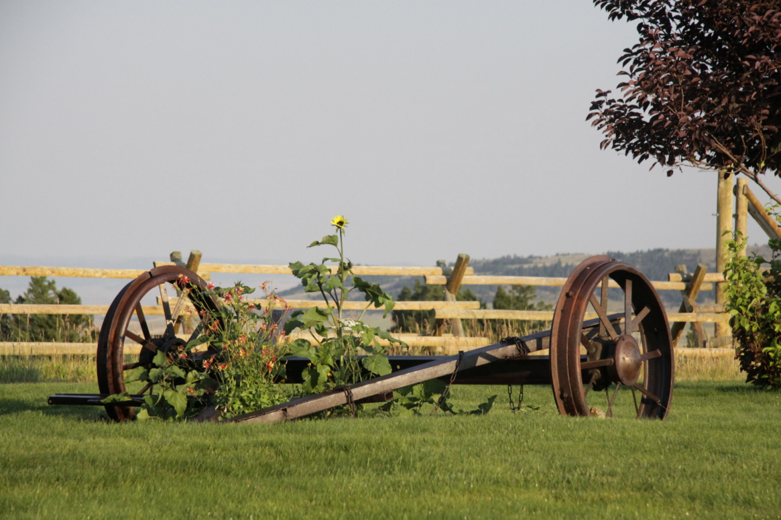 Pishkun Crazy Mountain Ranch | Montana Hunting Ranch | Fay Ranches
