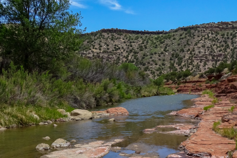 Robert Martin | New Mexico Colorado Ranch Broker | Fay Ranches