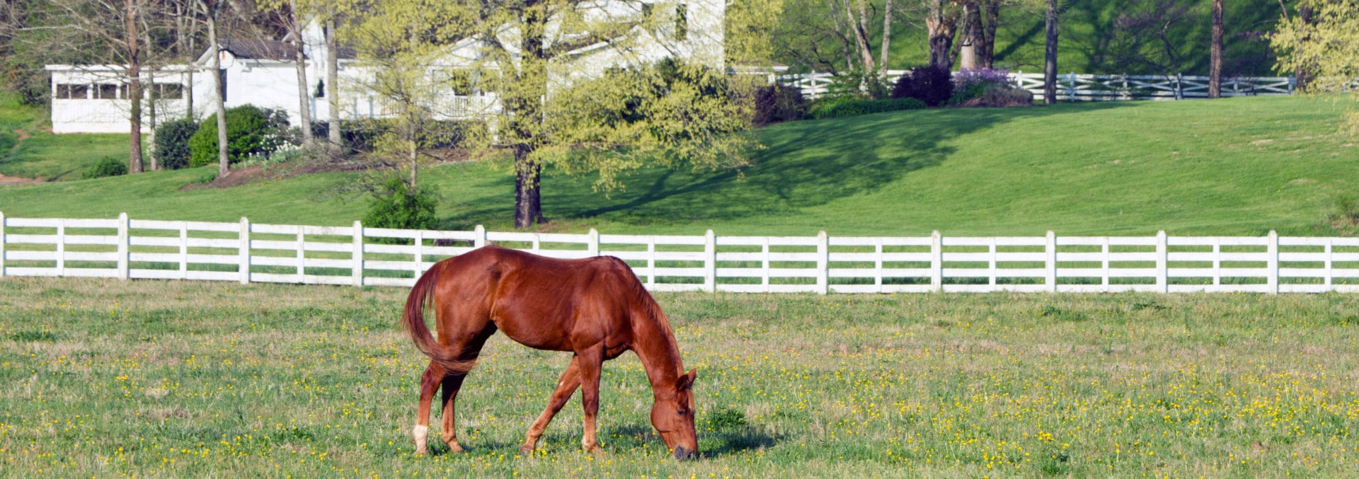 The Southeast Land and Farm Team | Fay Ranches