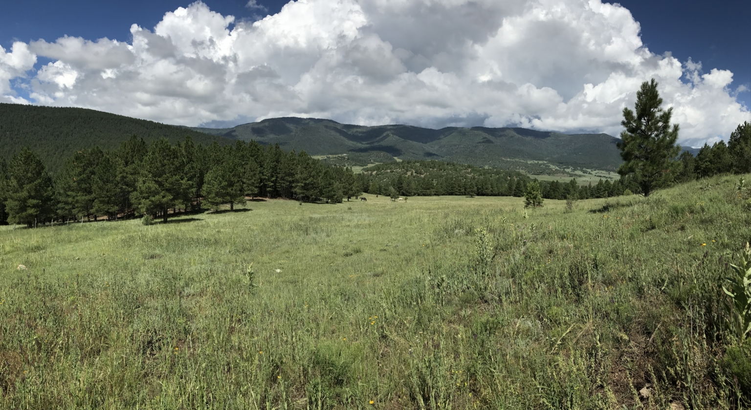Mora River Refuge | Chacon New Mexico | Fay Ranches