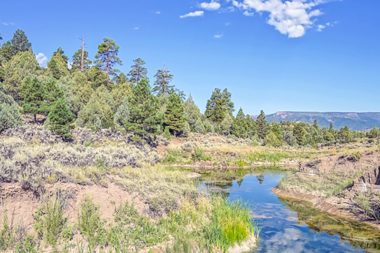 New Mexico Ranch Land Properties For Sale | Fay Ranches