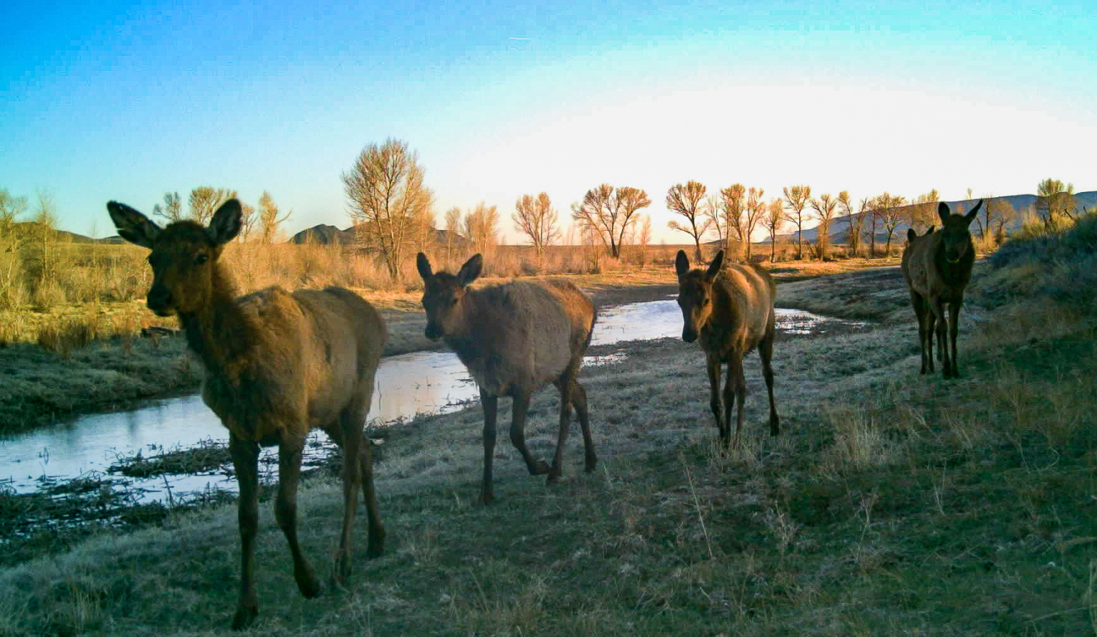 Two Rivers Ranch | Colorado Sporting Property | Fay Ranches