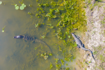 Lakes of Gibbons Creek | Republic Ranches Texas Property