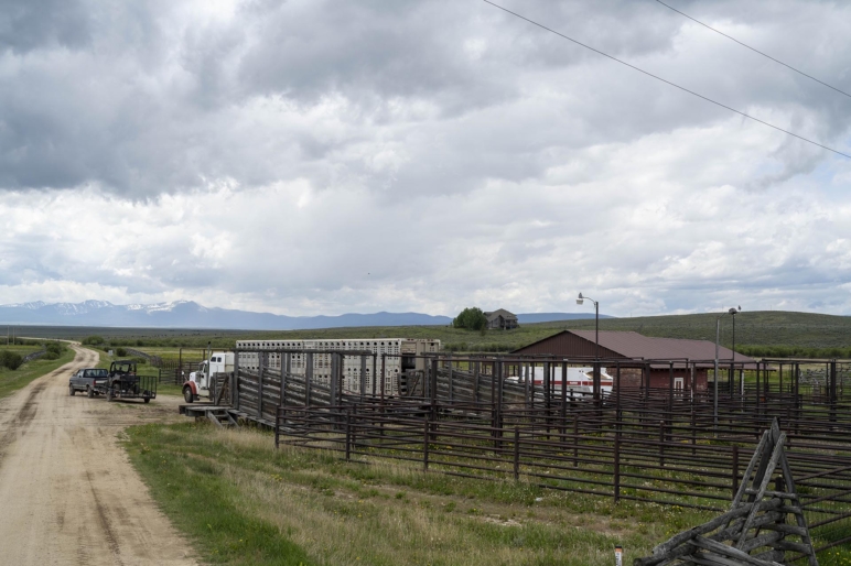 Arrow Ranch | Wisdom Montana | Fay Ranches