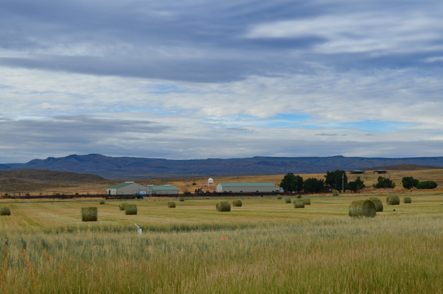Hidden Springs Ranch | Riverton Wyoming | Fay Ranches