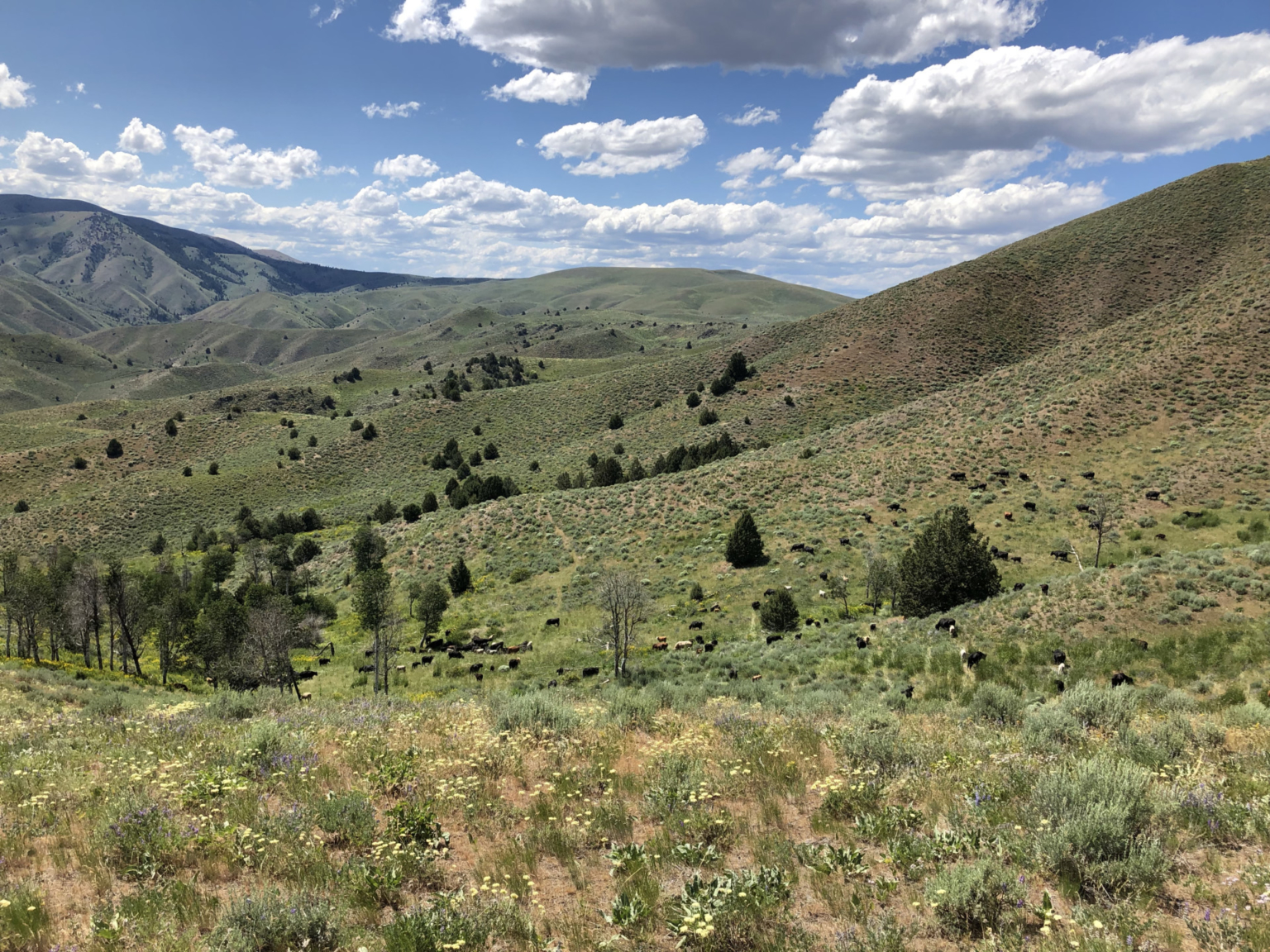 French Creek Ranch | Durkee Oregon | Fay Ranches