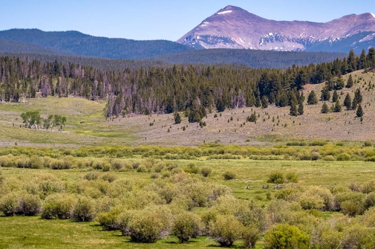 Montana Ranch Land Properties For Sale | Fay Ranches
