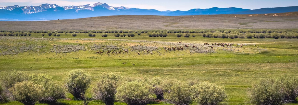 Arrow Ranch | Wisdom Montana | Fay Ranches