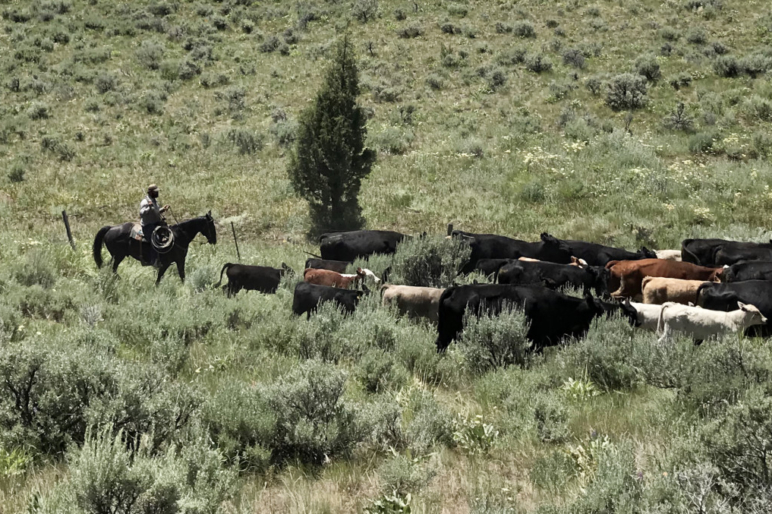 Oregon Ranch Land Properties For Sale | Fay Ranches