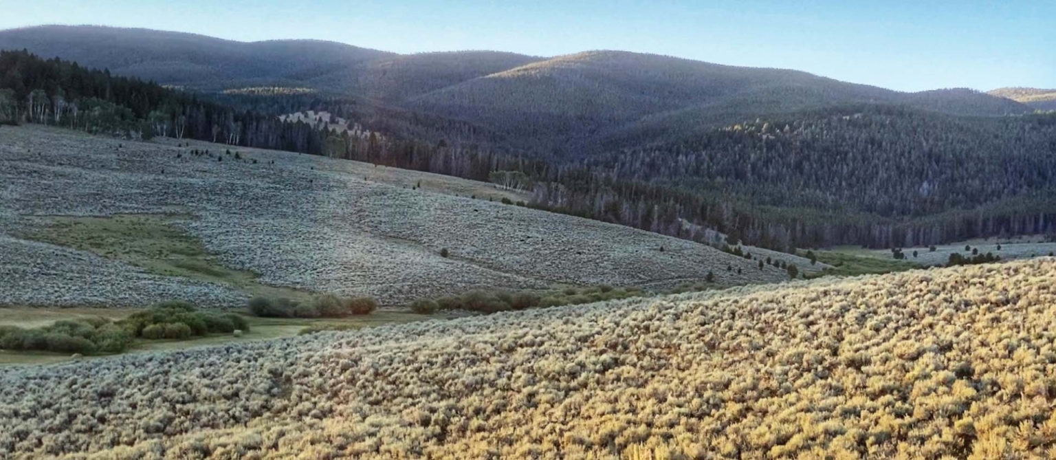 Arrow Ranch | Wisdom Montana | Fay Ranches