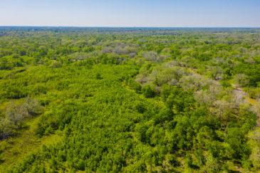 Lakes of Gibbons Creek | Republic Ranches Texas Property