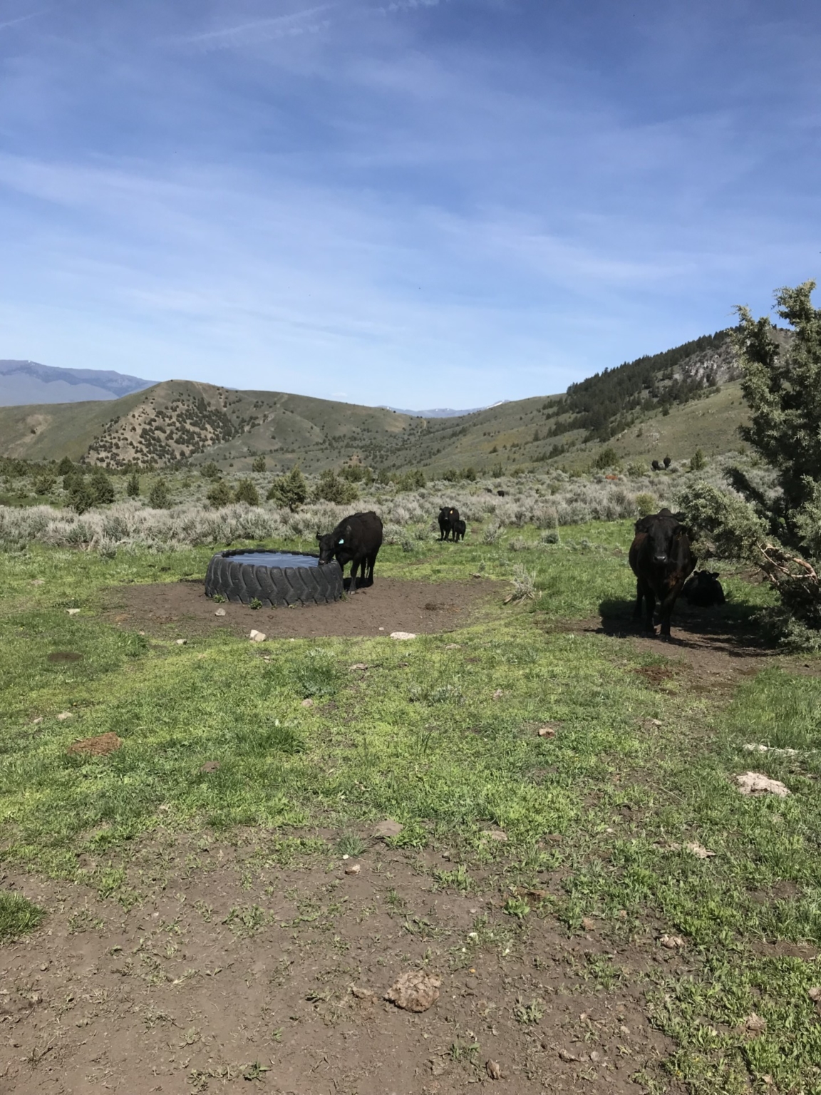 French Creek Ranch | Durkee Oregon | Fay Ranches