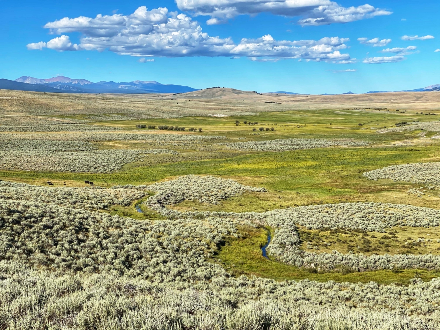 Arrow Ranch | Wisdom Montana | Fay Ranches