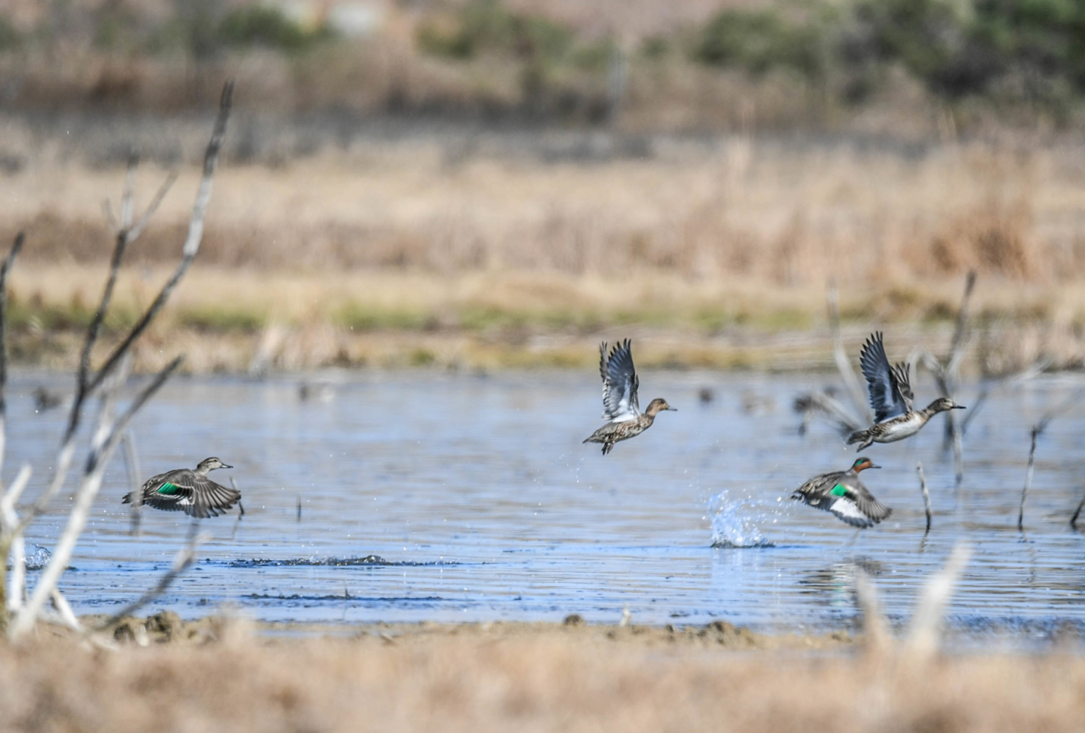 Lakes of Gibbons Creek | Republic Ranches Texas Property