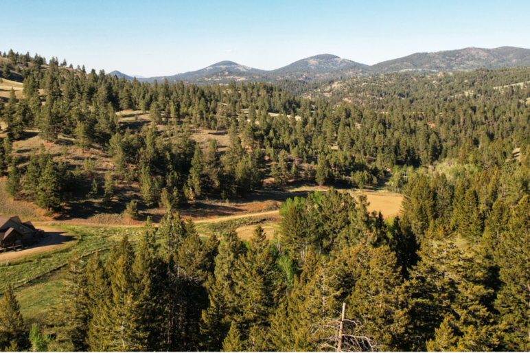 Cottonwood Retreat | Fay Ranches