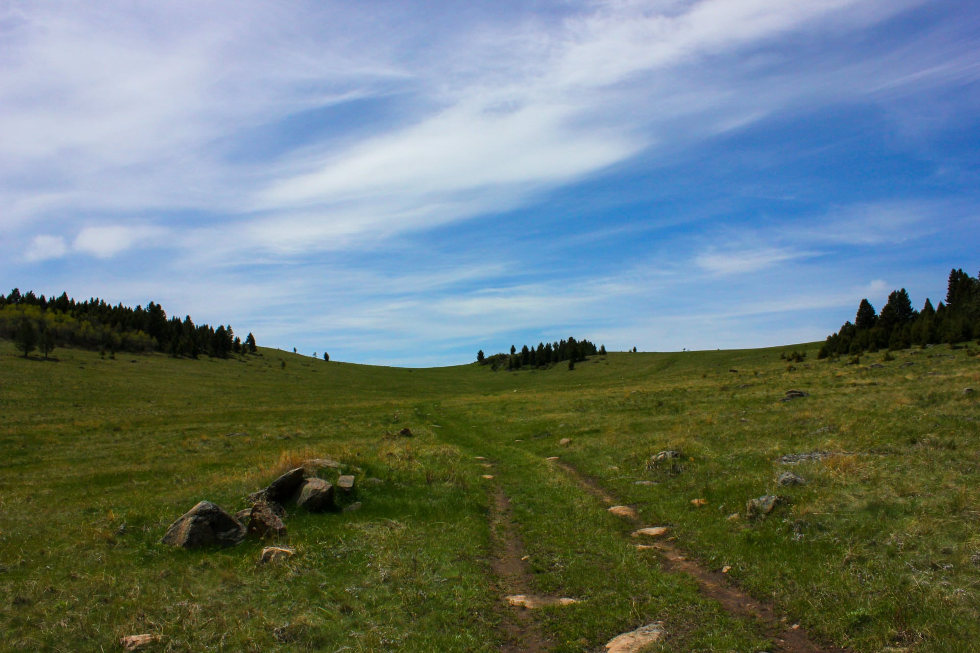 Little Belt Elk Ranch at Rose Briggs blog