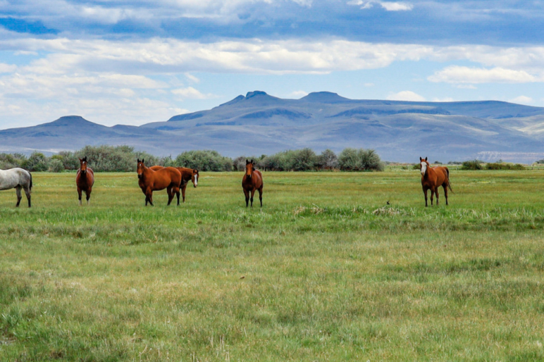 Fay Ranches | Brokering the Finest Ranches For Sale Coast to Coast
