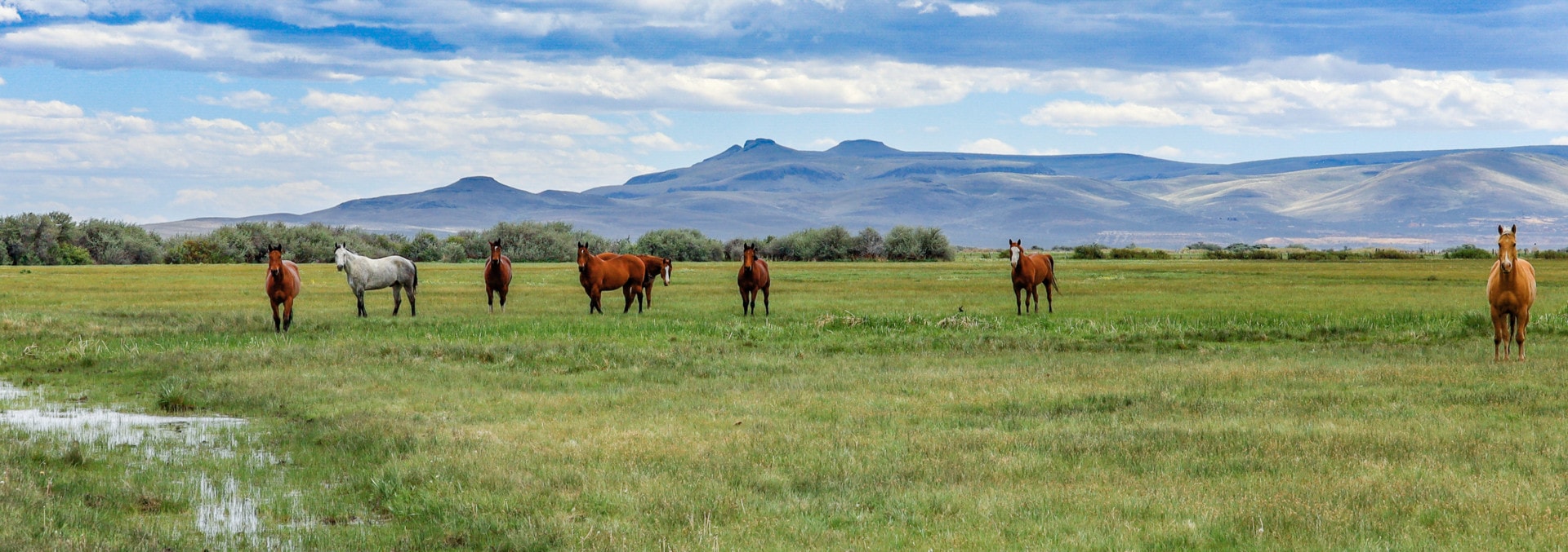 Fay Ranches | Brokering the Finest Ranches For Sale Coast to Coast
