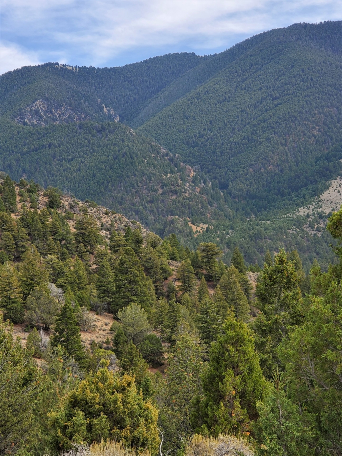 Ruby Reservoir Overlook | Alder Montana | Fay Ranches