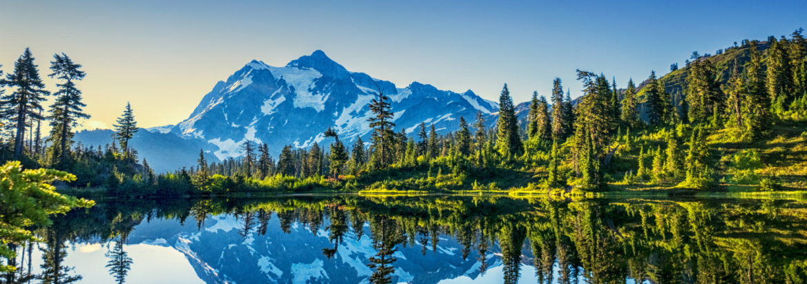 Washington Ranch Land Properties For Sale | Fay Ranches