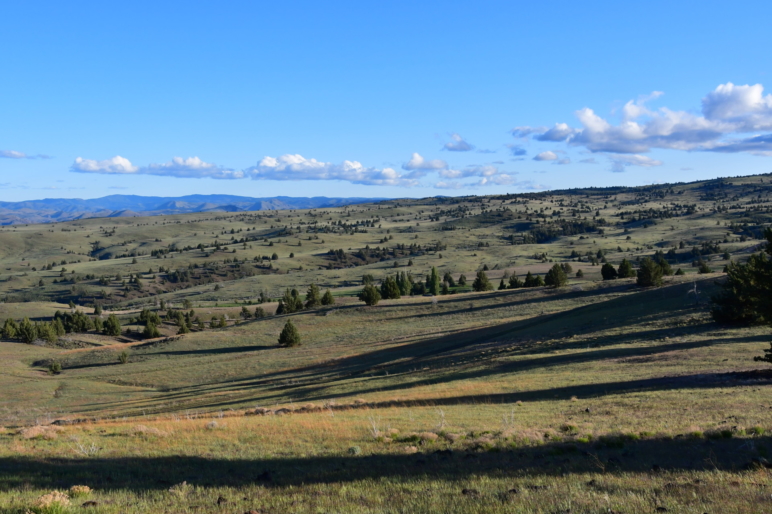 John Day Breaks Pasture | Anetlope Oregon | Fay Ranches
