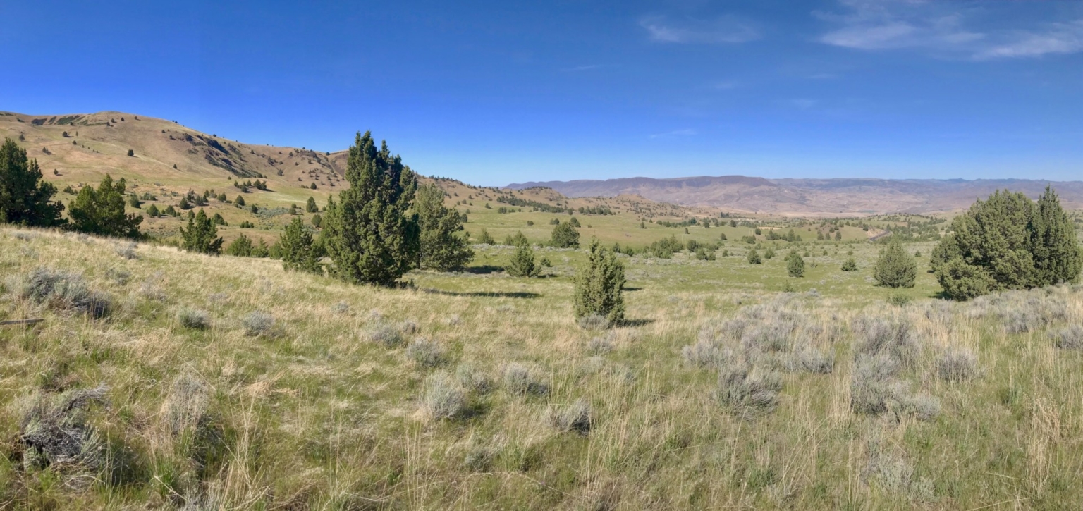 John Day Breaks Pasture | Anetlope Oregon | Fay Ranches