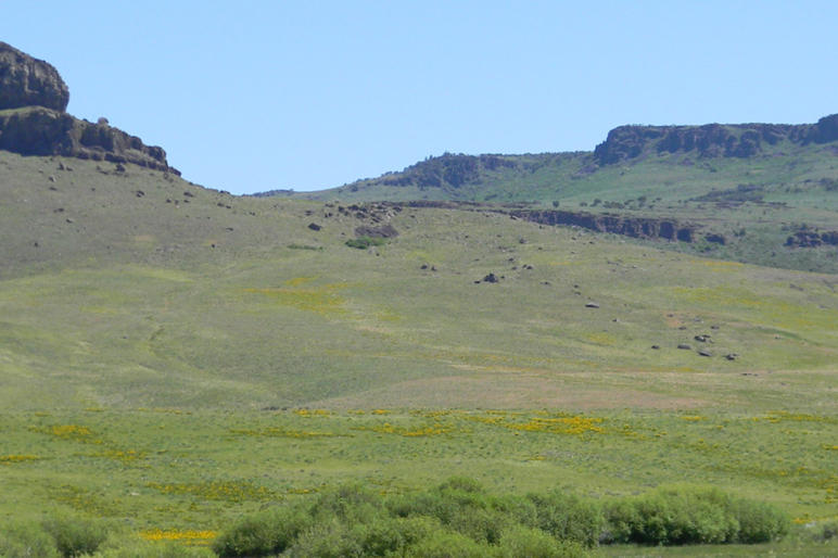 Twin Sisters Ranch | Indian Valley Idaho Real Estate | Fay Ranches