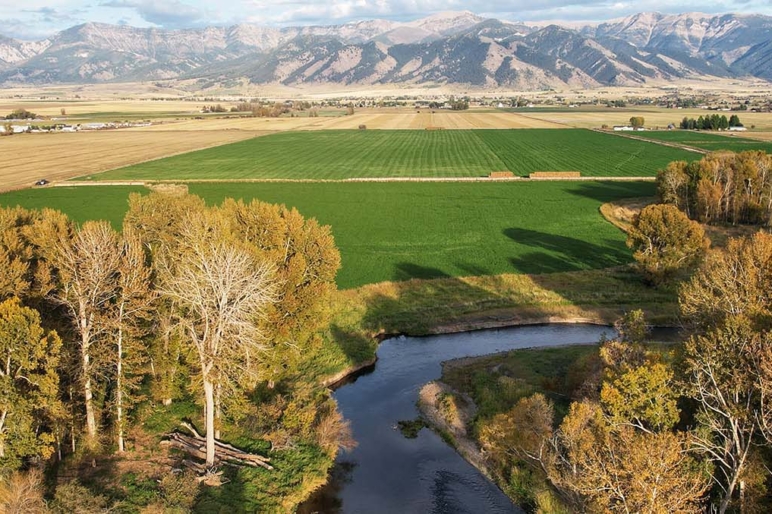 Montana Farm Land For Sale | Large Acreages | Fay Ranches