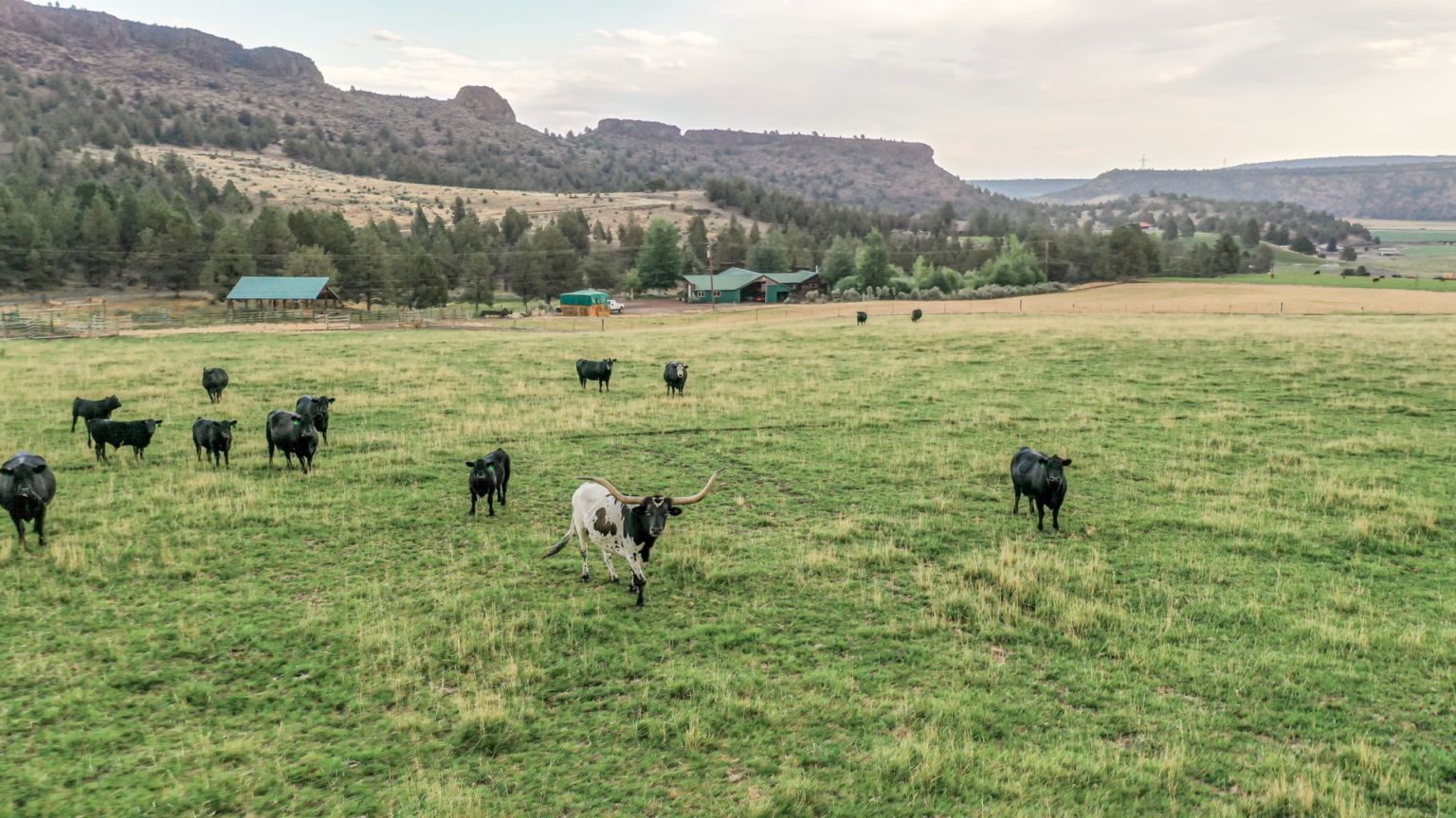 Western Living | Prineville Oregon Ranch | Fay Ranches