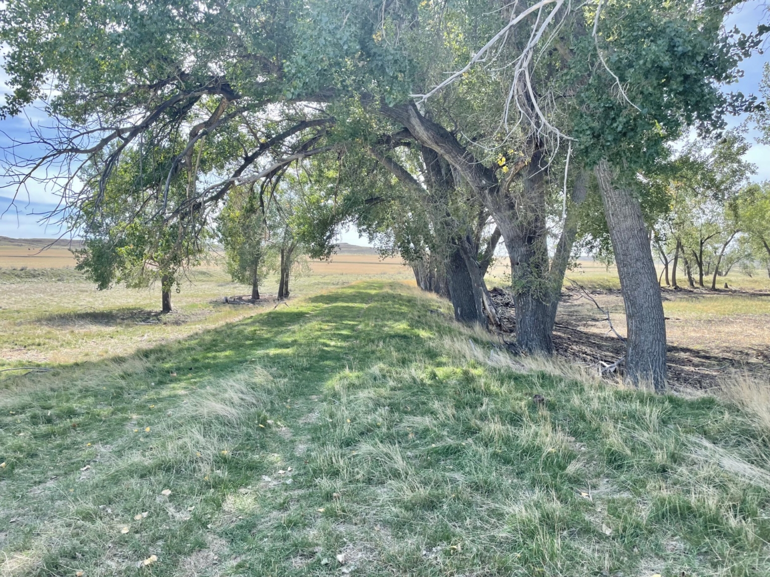 Montana’s T-Rex Ranch | Cattle & Hunting Property | Fay Ranches