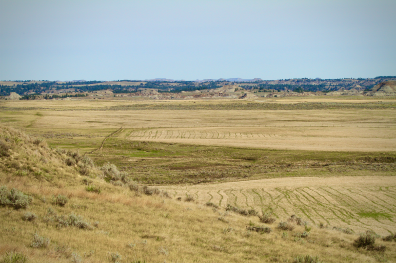 Montana’s T-Rex Ranch | Cattle & Hunting Property | Fay Ranches
