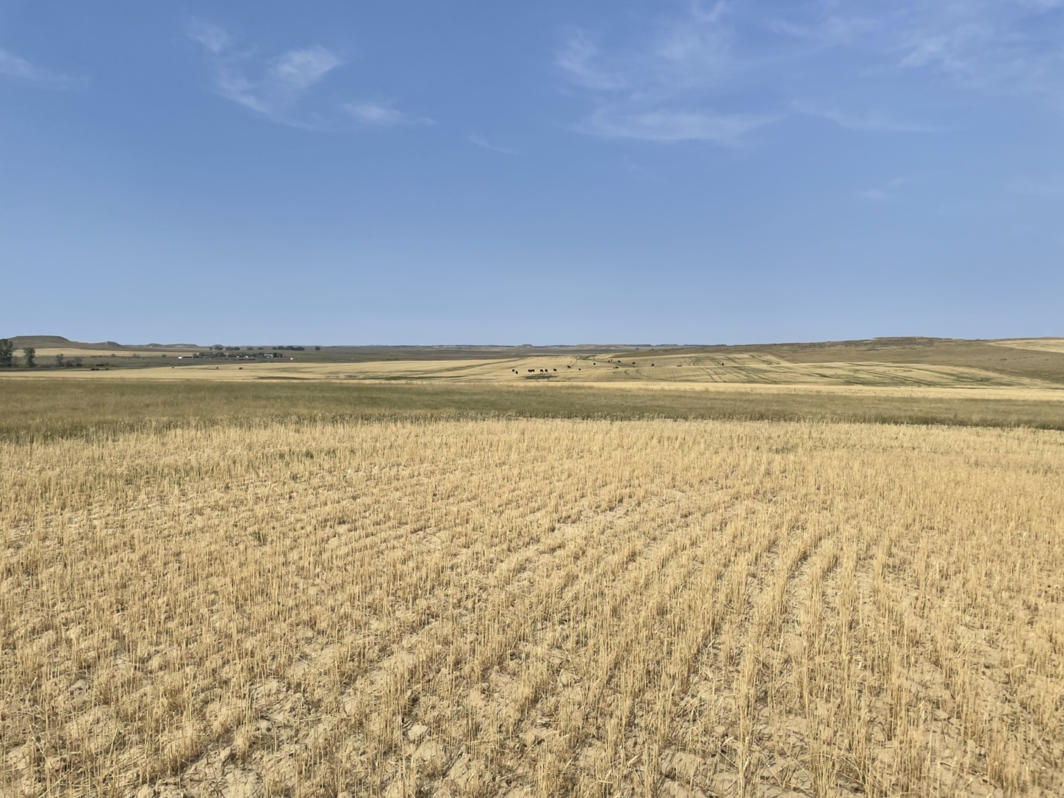 Montana’s T-Rex Ranch | Cattle & Hunting Property | Fay Ranches