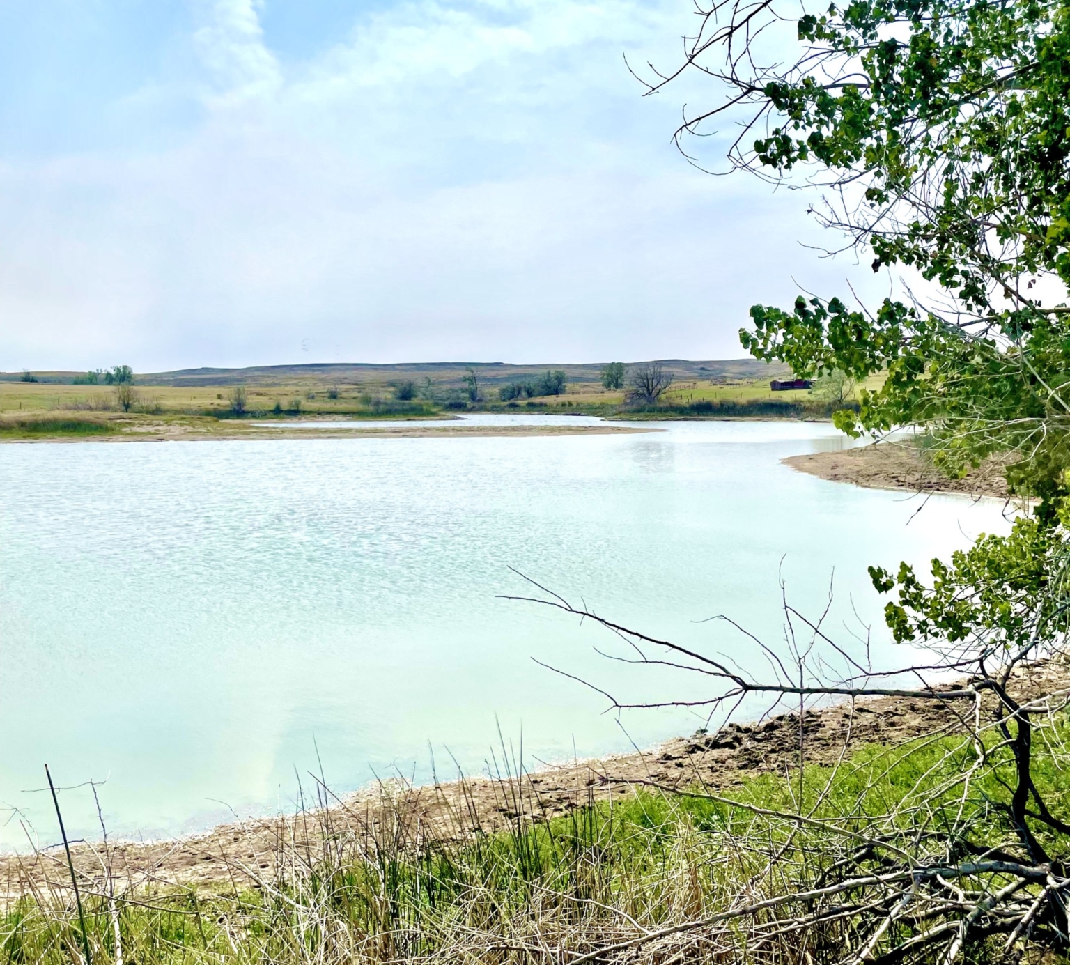 Montana’s T-Rex Ranch | Cattle & Hunting Property | Fay Ranches