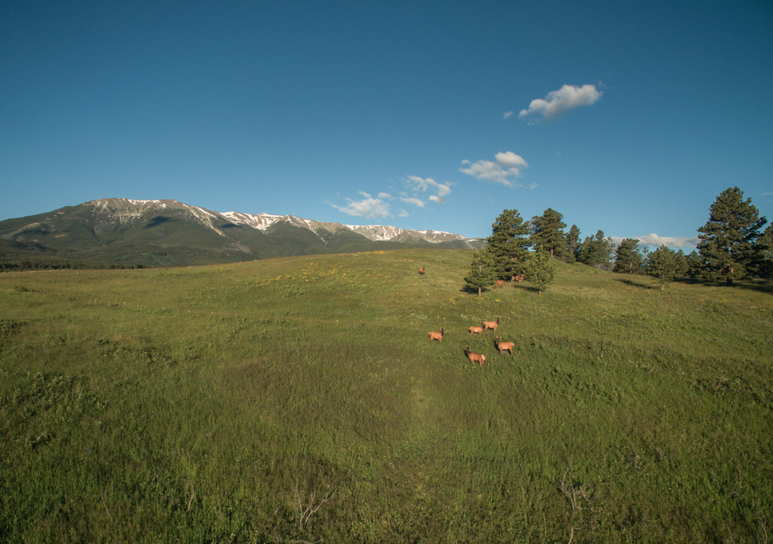 Sacred Raven Ranch | Fishtail Montana | Fay Ranches