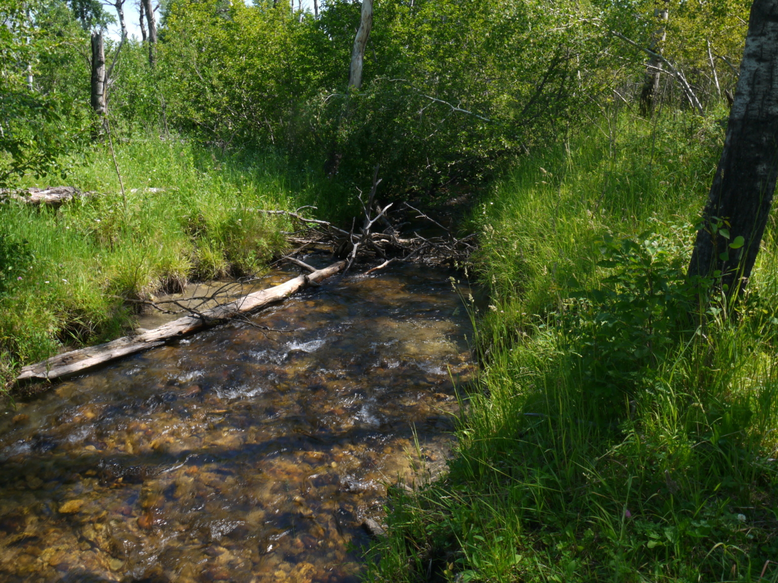 Sacred Raven Ranch | Fishtail Montana | Fay Ranches