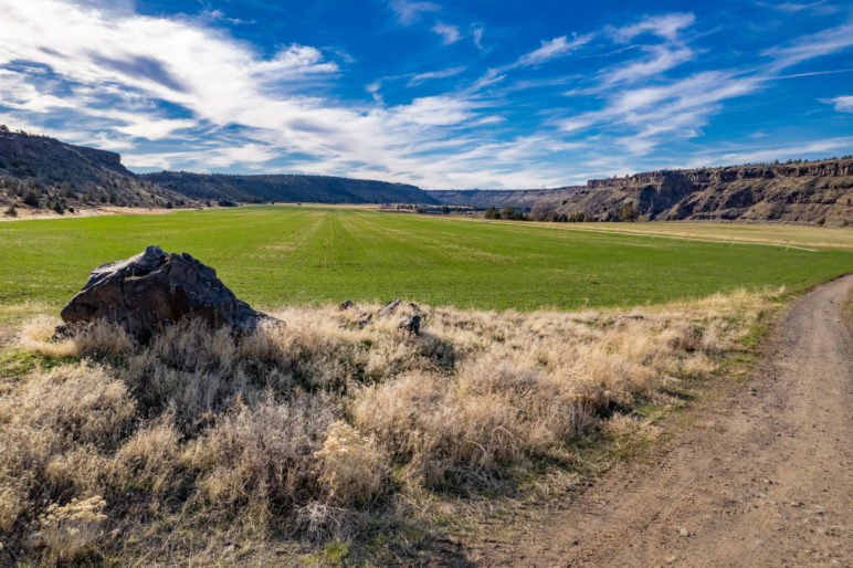 Crooked River Rim Farm | Culver Oregon | Fay Ranches