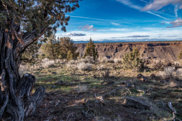 Crooked River Rim Farm | Culver Oregon | Fay Ranches