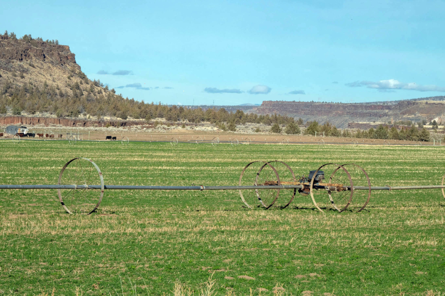 Crooked River Rim Farm | Culver Oregon | Fay Ranches