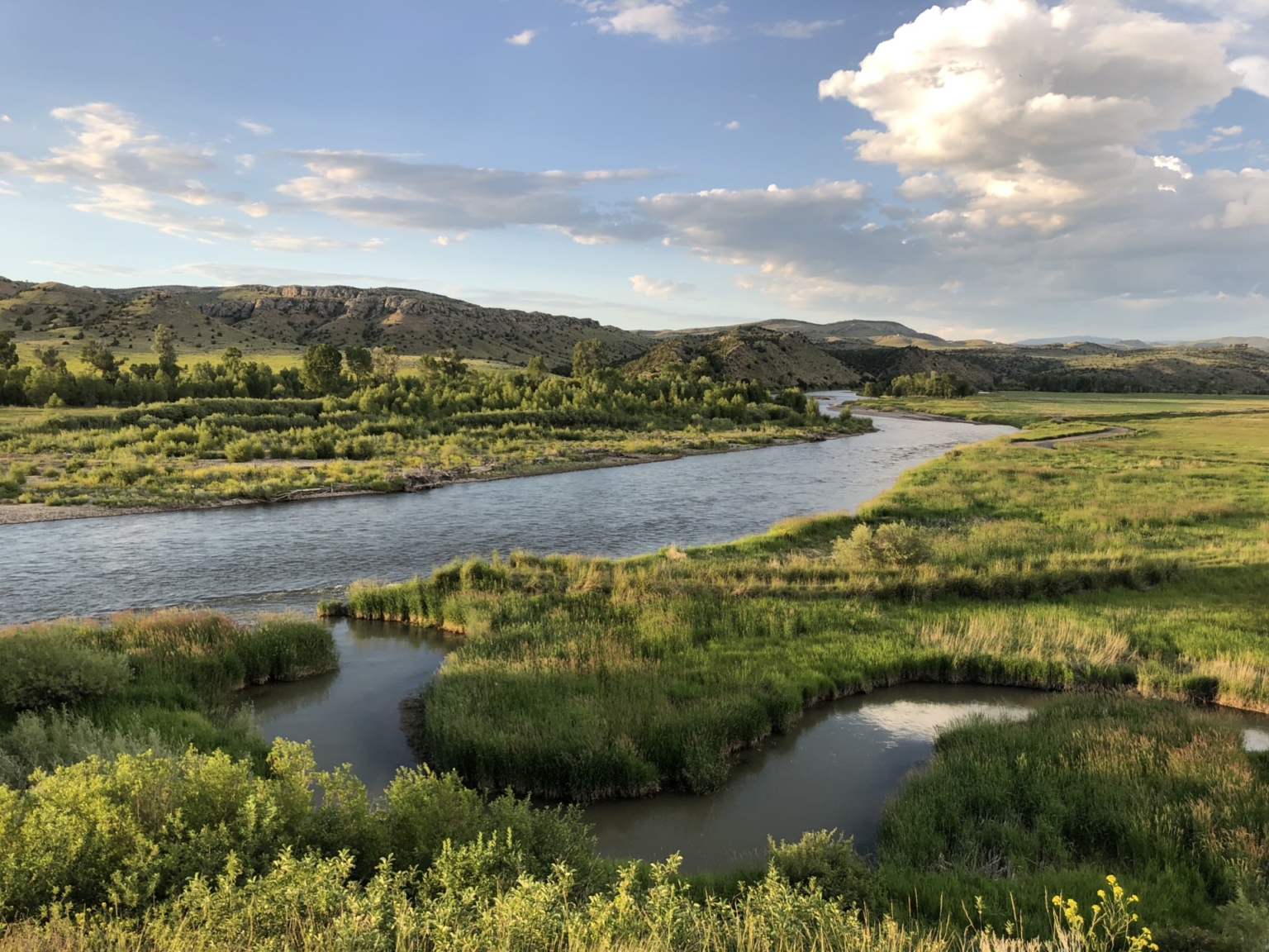 F Double D Ranch | Manhattan Montana | Fay Ranches