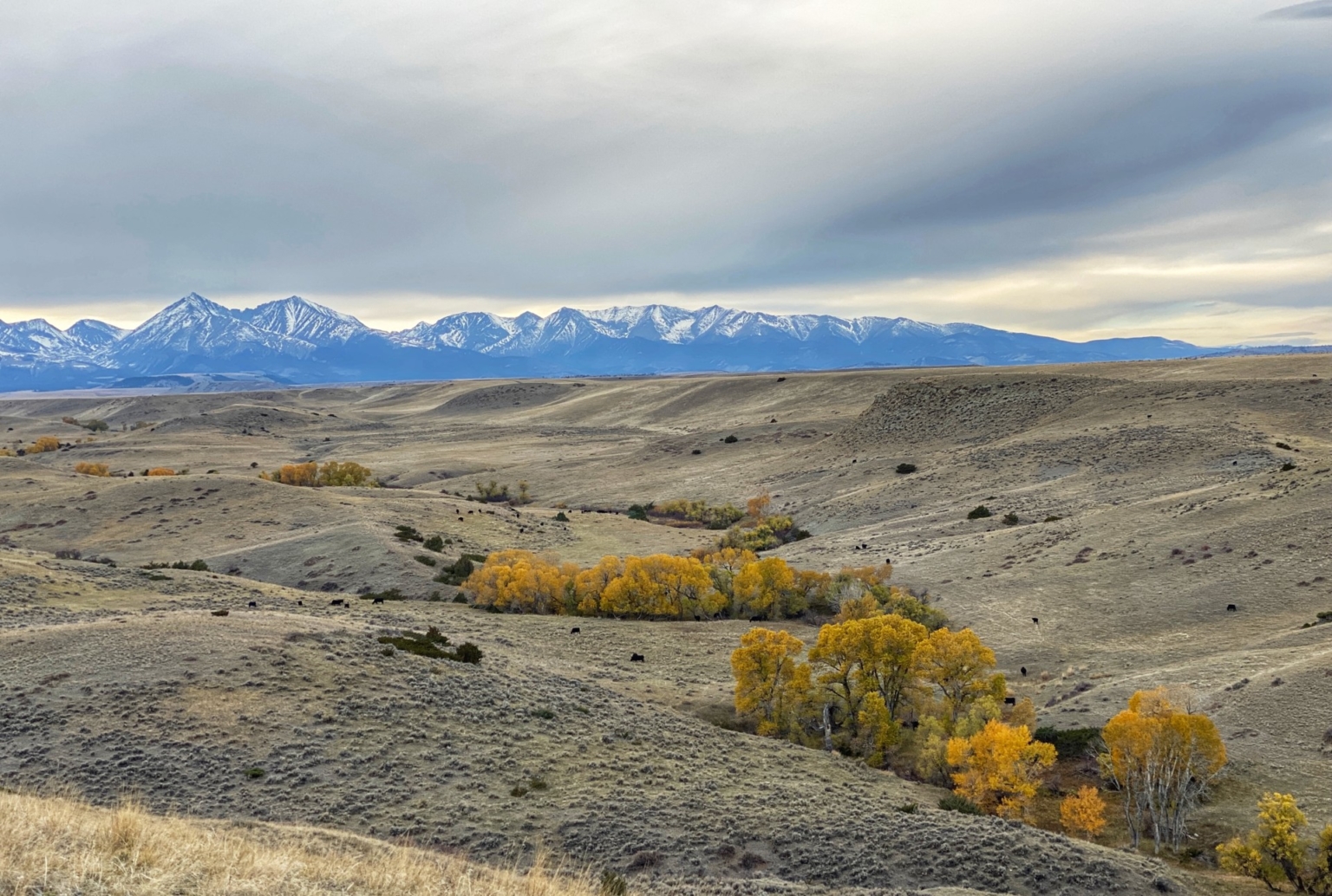 Two Bear Ranch | Big Timber Montana | Fay Ranches