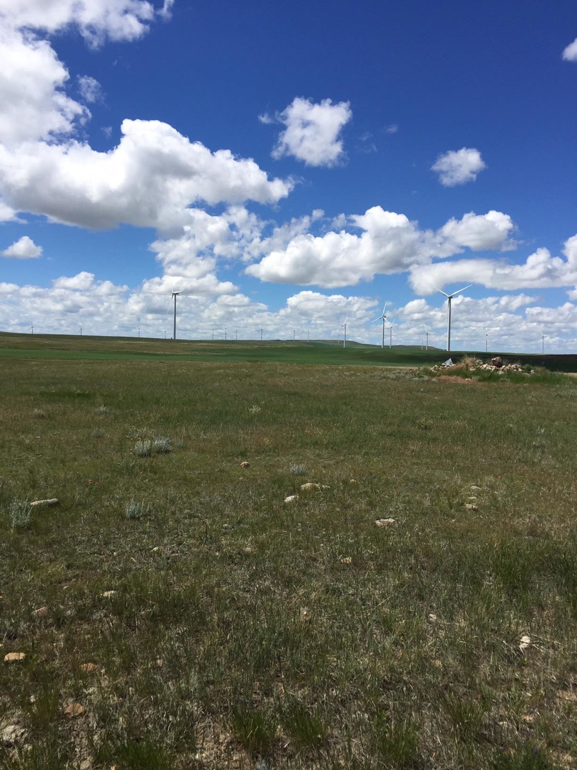 H & J Quarters Farm No Wind | Ethridge Montana | Fay Ranches